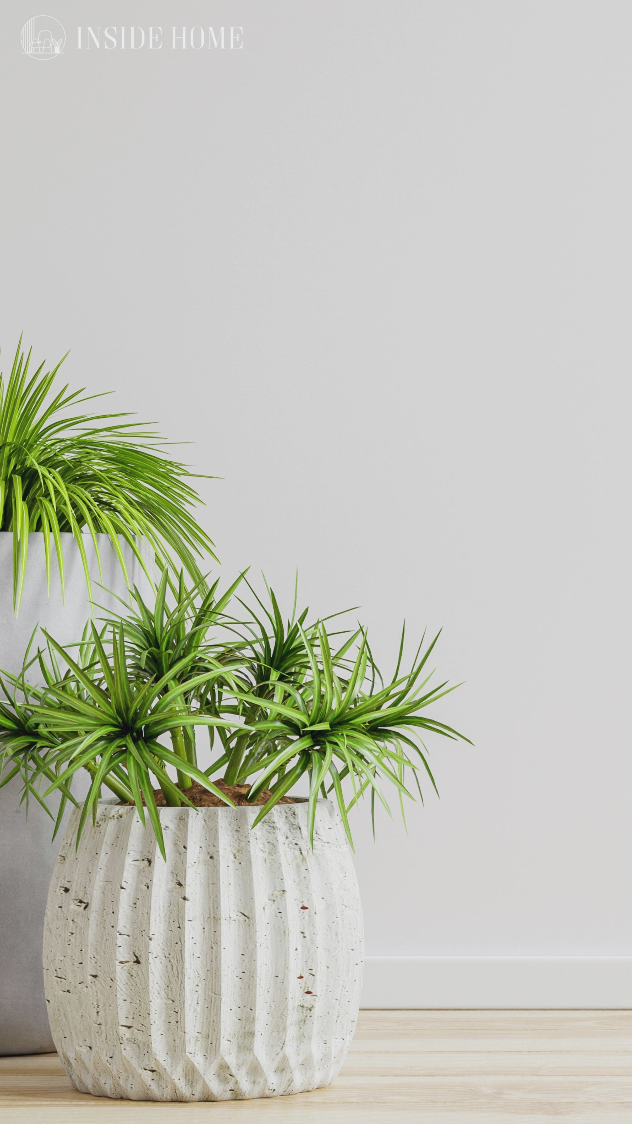 Best Artificial Plants for Apartments Small Spaces in Pakistan ...